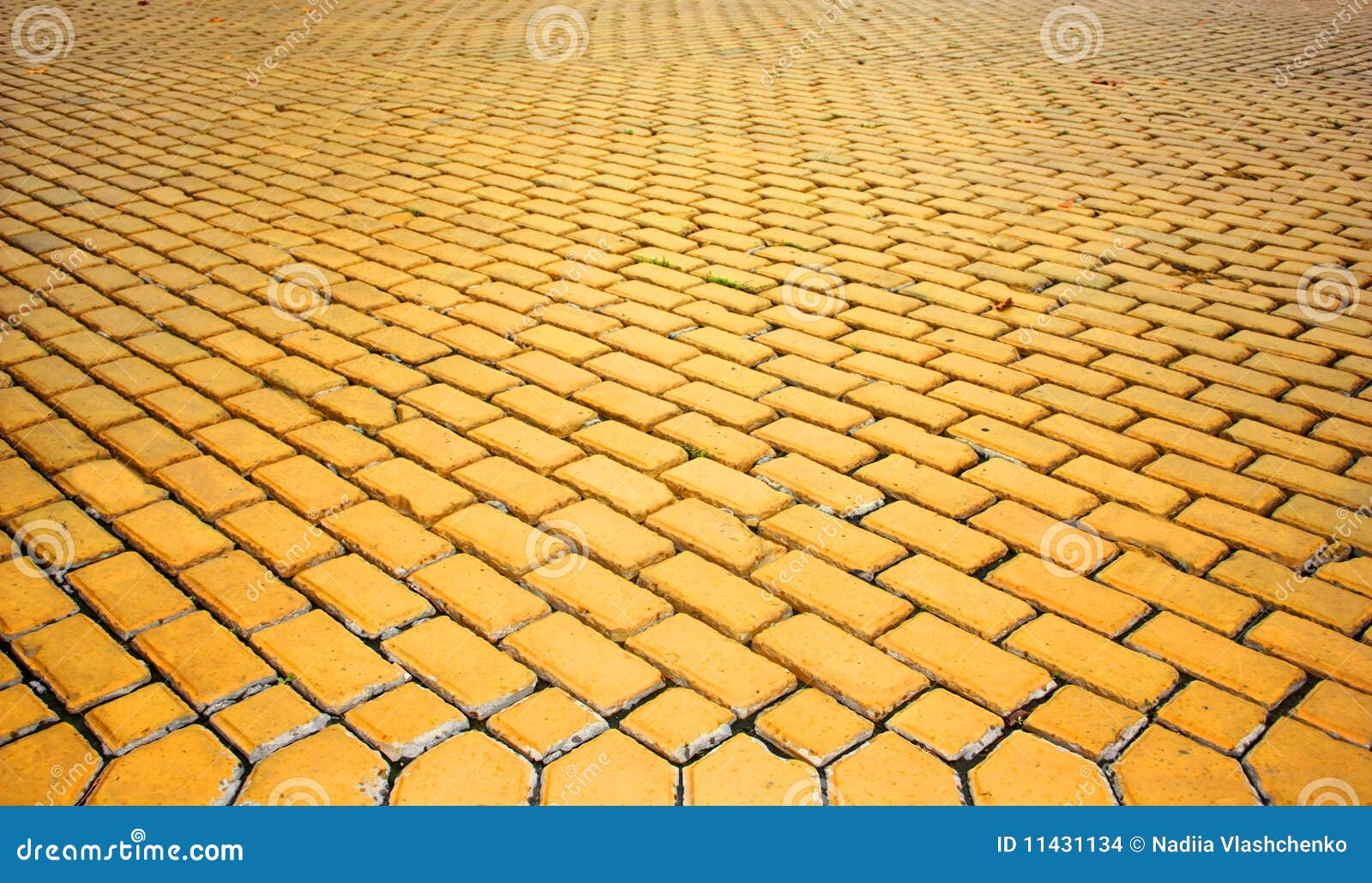 Yellow paved pavement stock photo. Image of backgrounds - 11431134