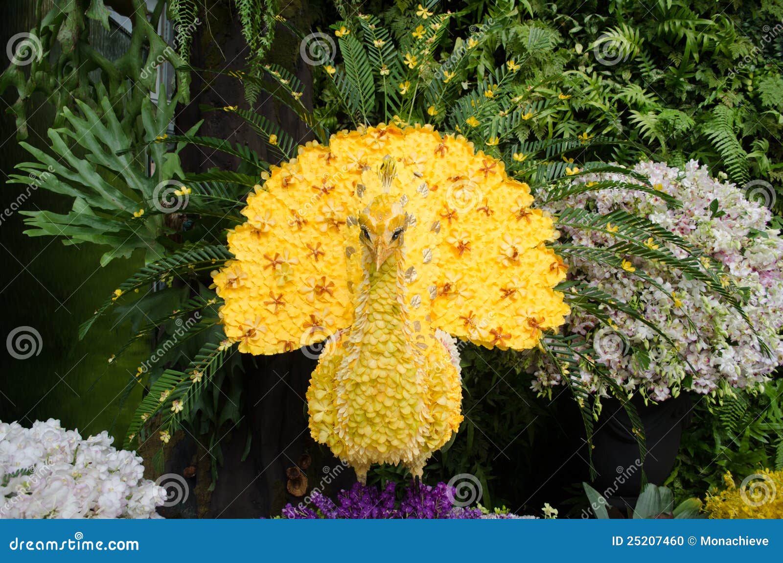 Yellow Peacock Flower made stock photo. Image of decoration - 25207460