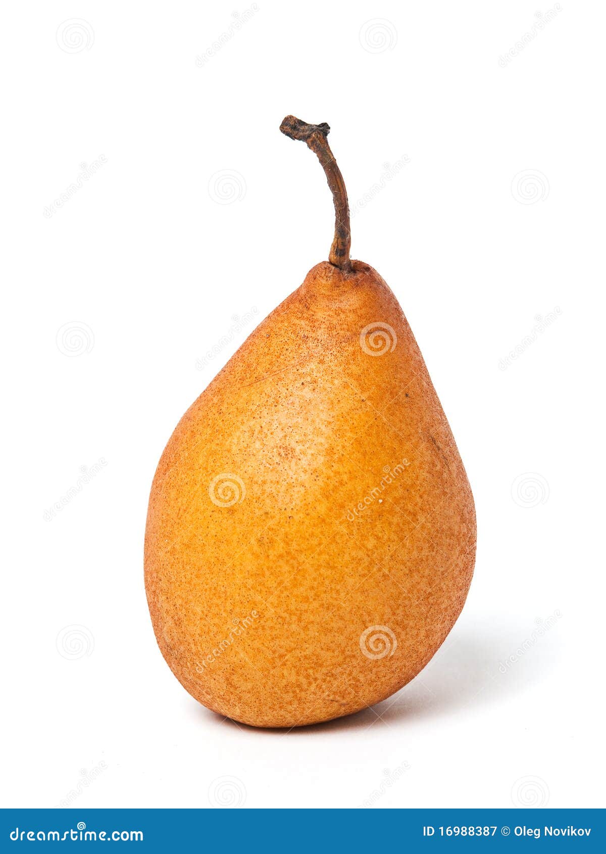Yellow pear stock image. Image of single, eating, yellow - 16988387
