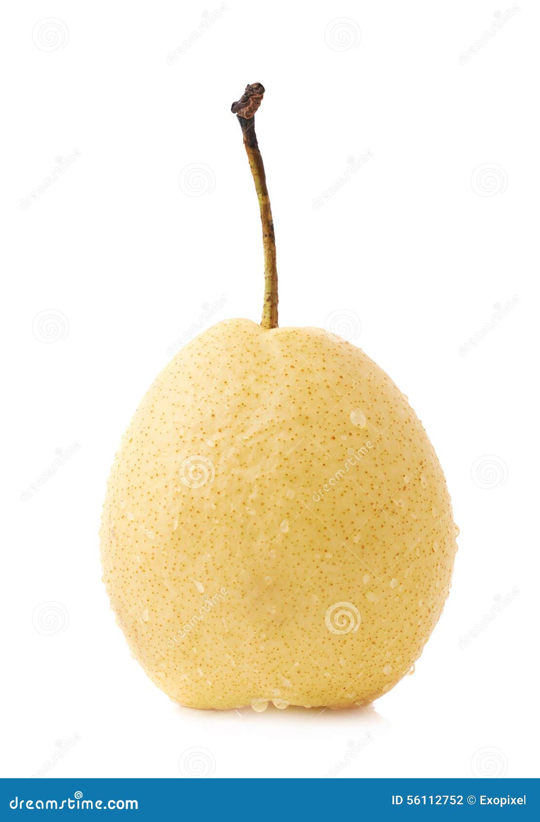 Yellow pear fruit isolated stock photo. Image of food - 56112752