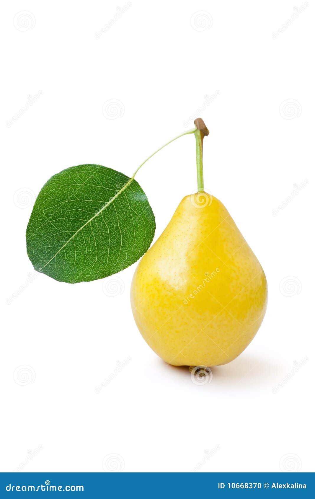Yellow Pear In Water Splash Stock Image | CartoonDealer.com #21407815