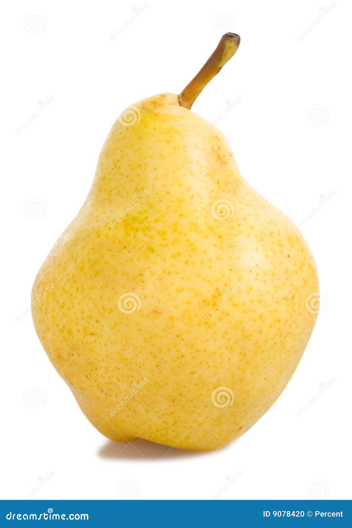 Yellow pear isolated stock photo. Image of healthy, fruit - 9078420