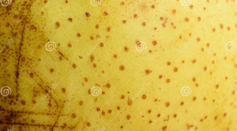 Yellow Pear Skin with an Interesting Texture. Background Stock Image ...