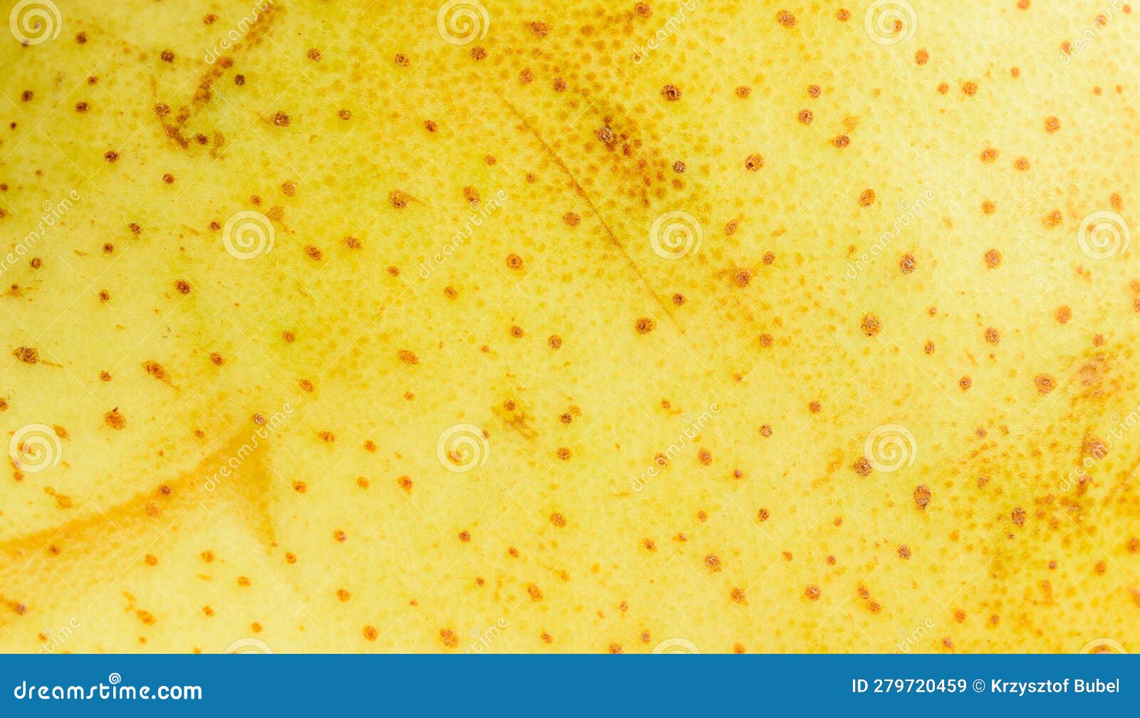 Yellow Pear Skin with an Interesting Texture. Background Stock Image ...