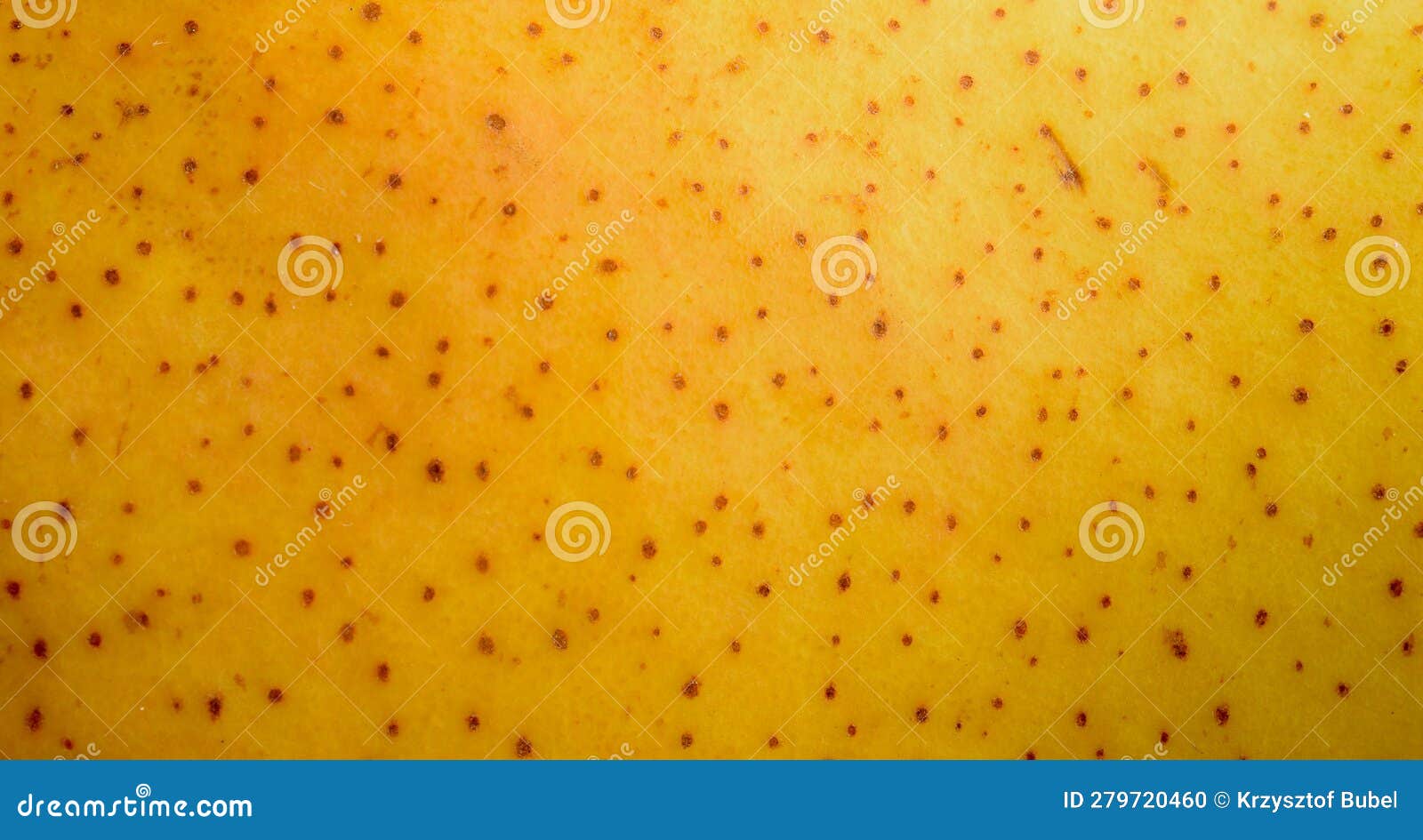 Yellow Pear Skin with an Interesting Texture. Background Stock Photo ...