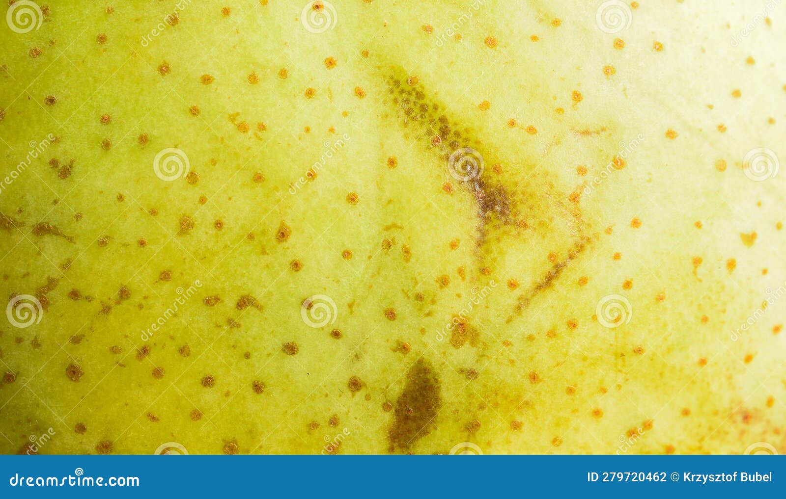 Yellow Pear Skin with an Interesting Texture. Background Stock Photo ...