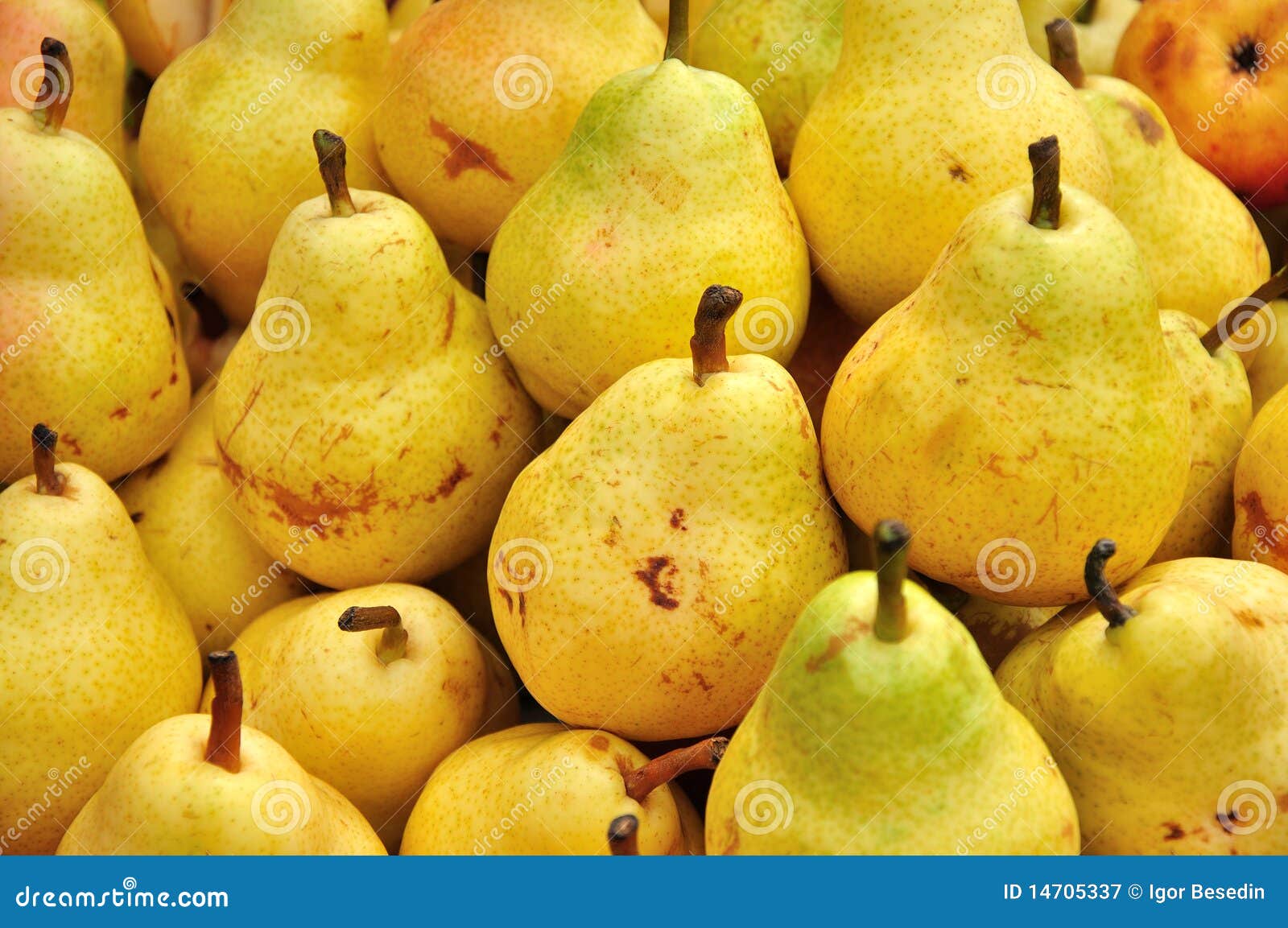 Yellow pears. stock image. Image of agriculture, healthy - 14705337