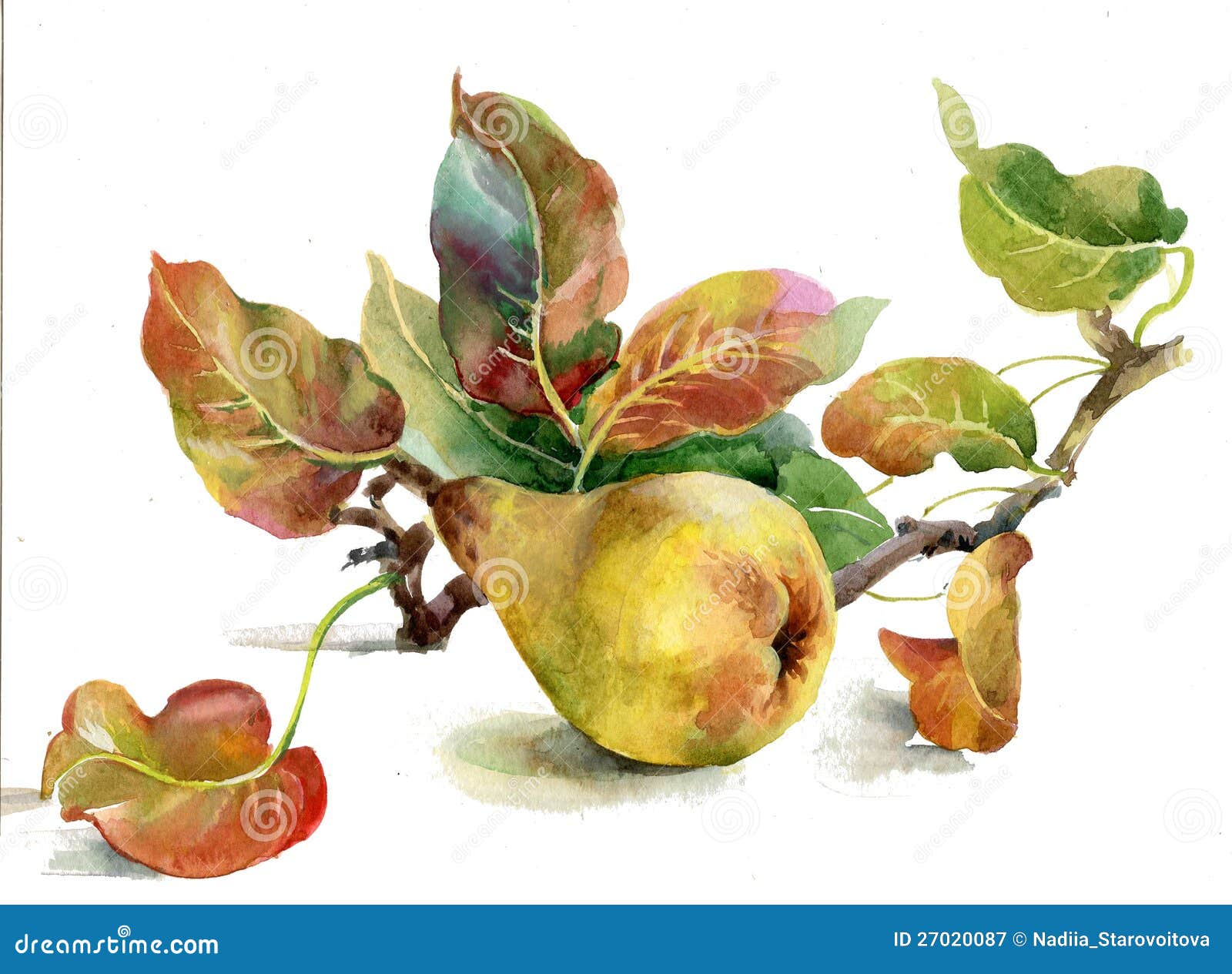 Three Beautiful Ripe Pears Stock Illustrations – 9 Three Beautiful Ripe ...