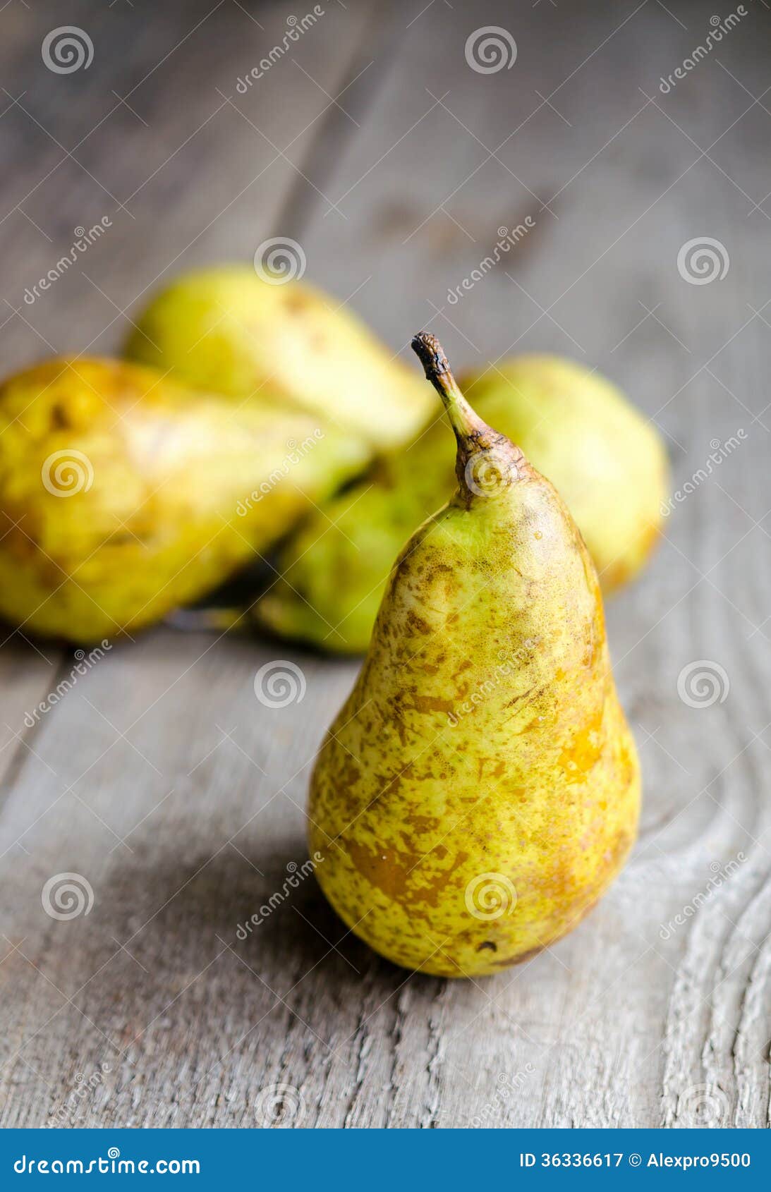 Yellow pears stock image. Image of nutrition, macro, fresh - 36336617