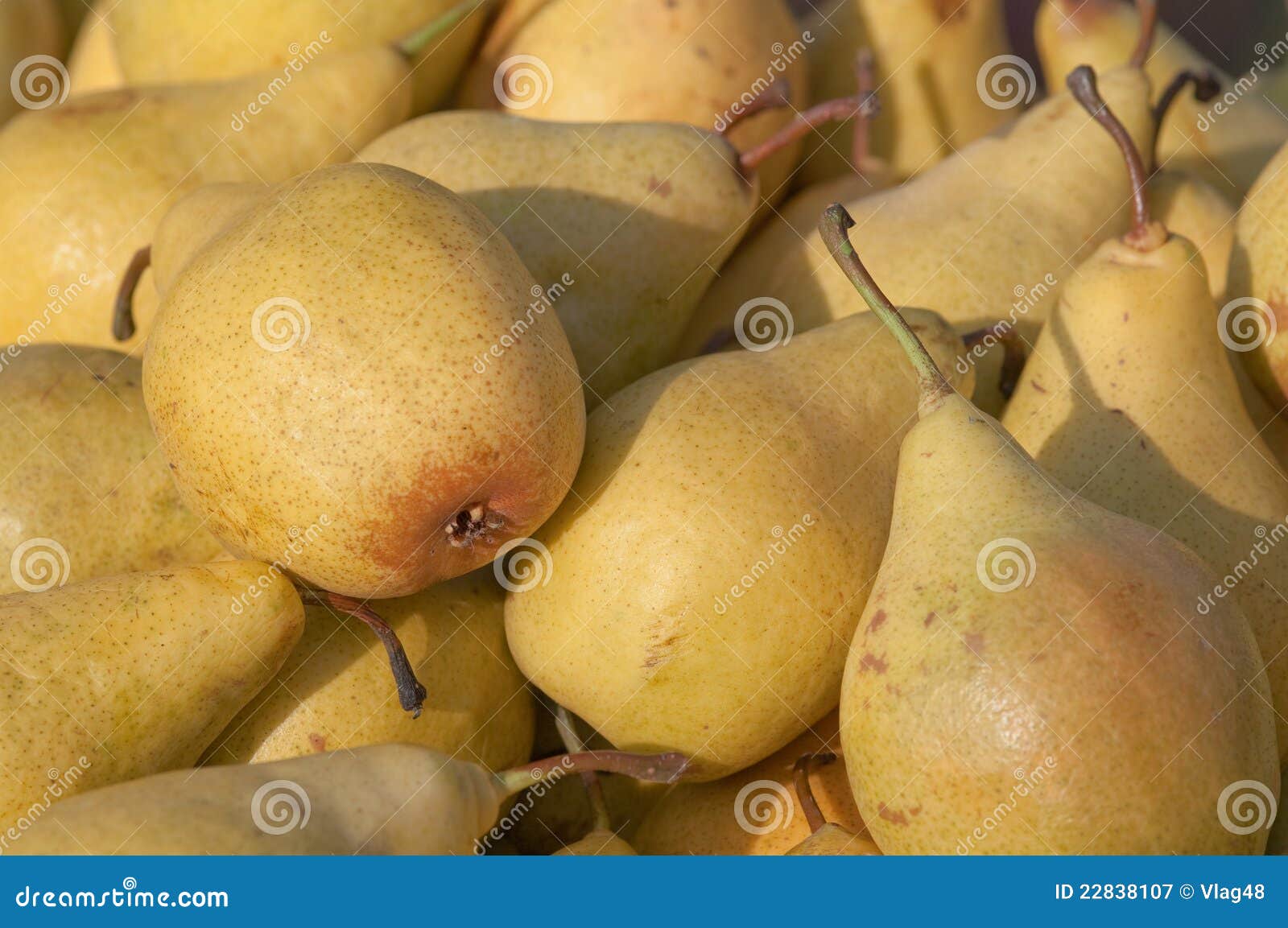 Yellow Pears Lined Up On The Counter For Sale Stock Image - Image of ...