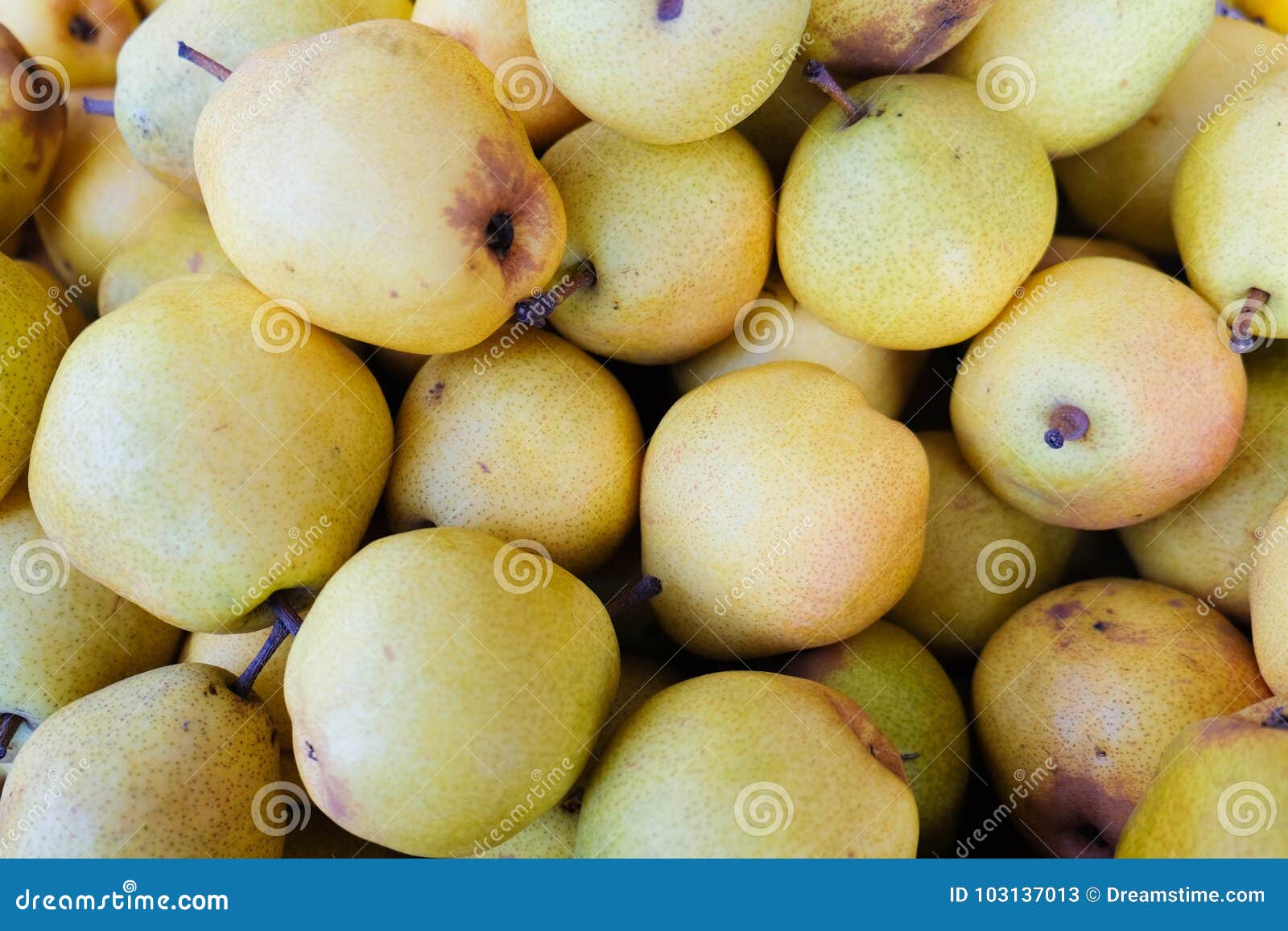 Yellow pears stock image. Image of fruit, fruits, natural - 103137013