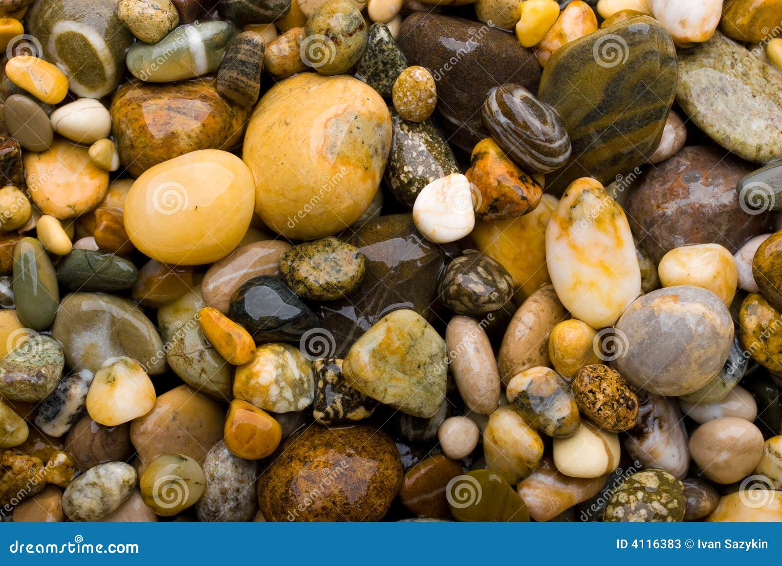 Yellow pebbles. stock image. Image of dotted, pebble, ornamental - 4116383