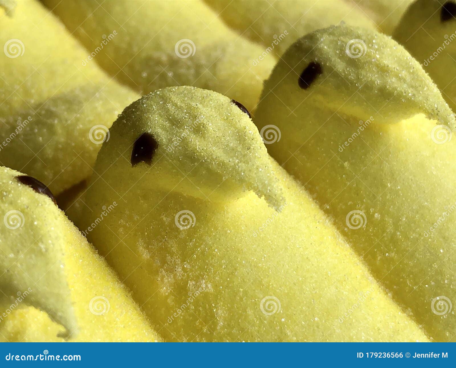 Yellow peeps editorial photo. Image of background, spring - 179236566
