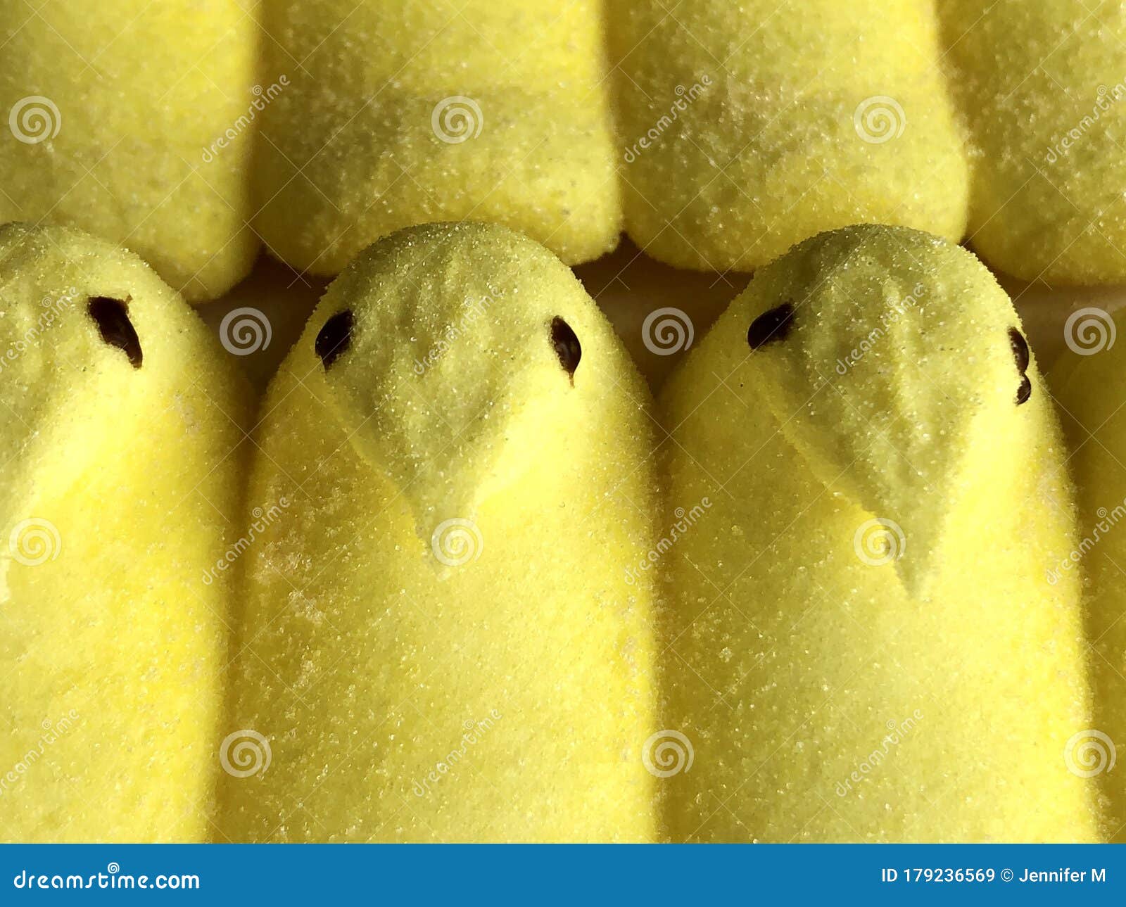 Yellow peeps editorial stock image. Image of marshmallow - 179236569