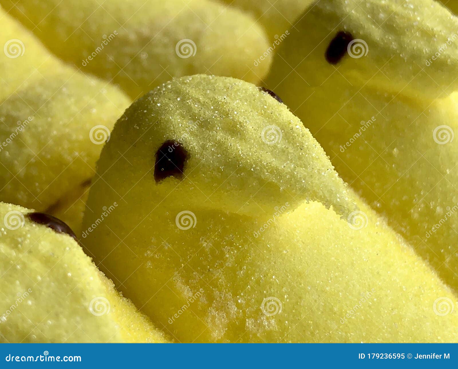 Yellow peeps editorial image. Image of color, cute, sugar - 179236595