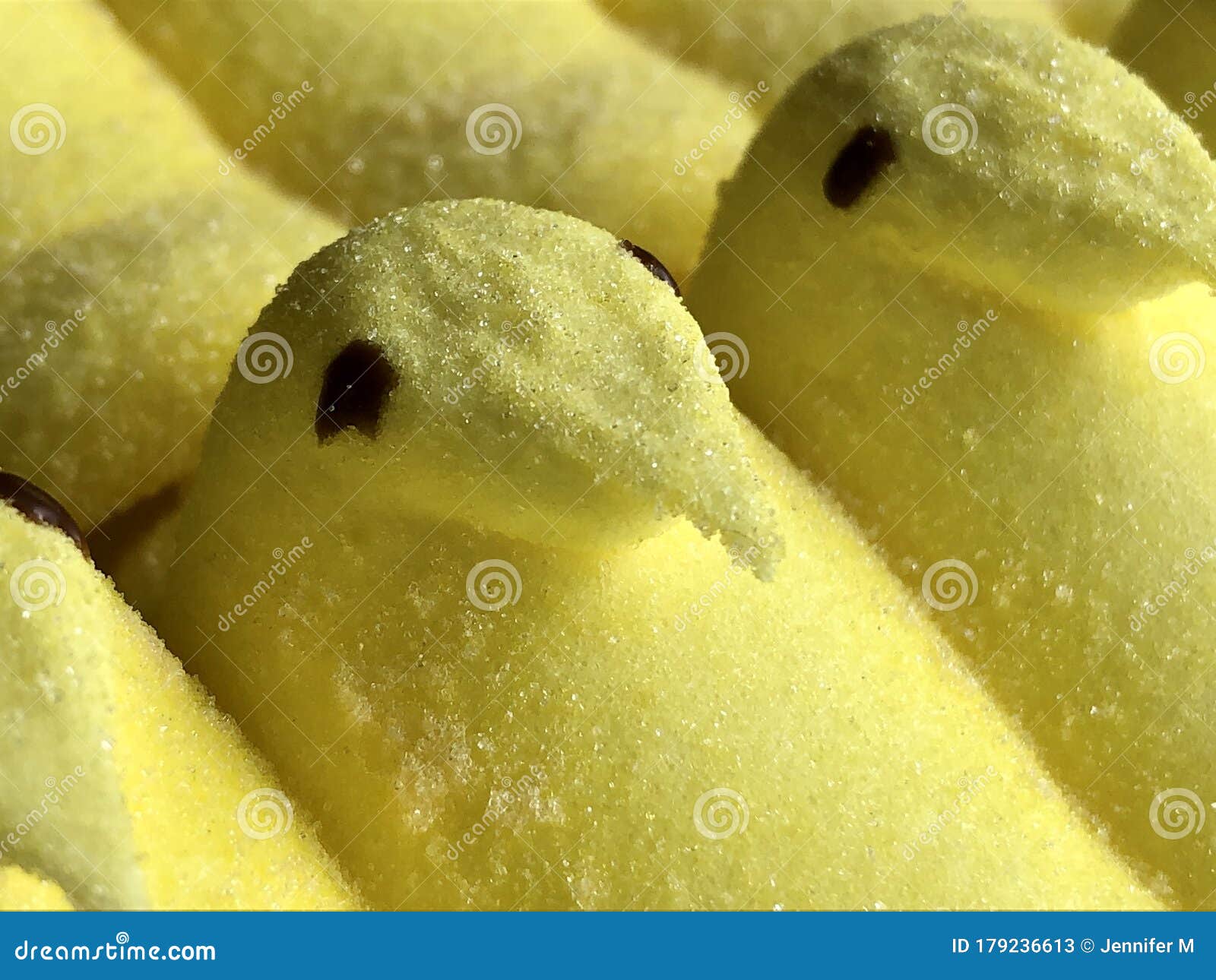 Yellow peeps editorial stock photo. Image of peep, colorful - 179236613