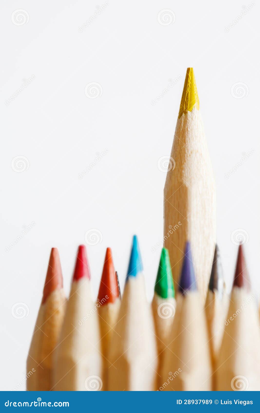 Yellow pencil standing out stock image. Image of paint - 28937989