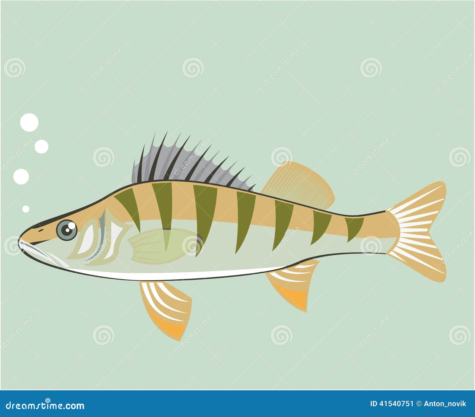 Yellow Perch Fish Vector Illustration Transparent Background Royalty ...