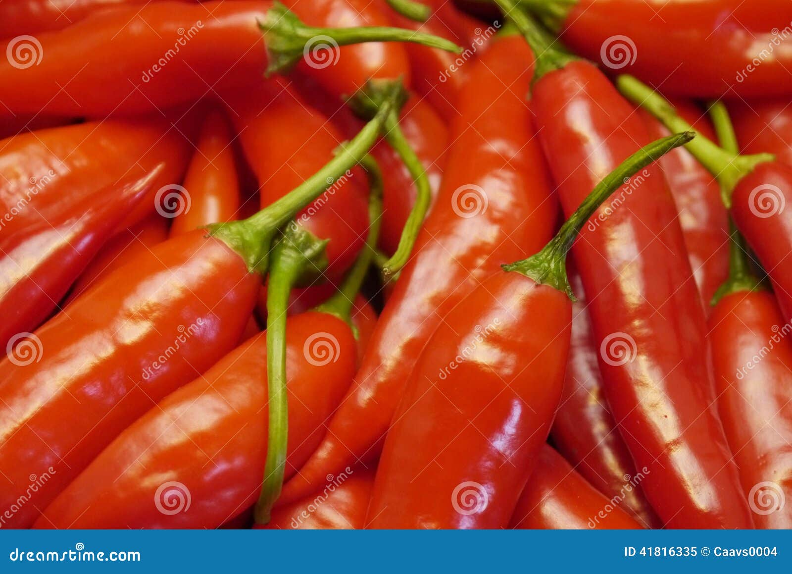 Yellow peruvian chilli stock image. Image of peruvian - 41816335