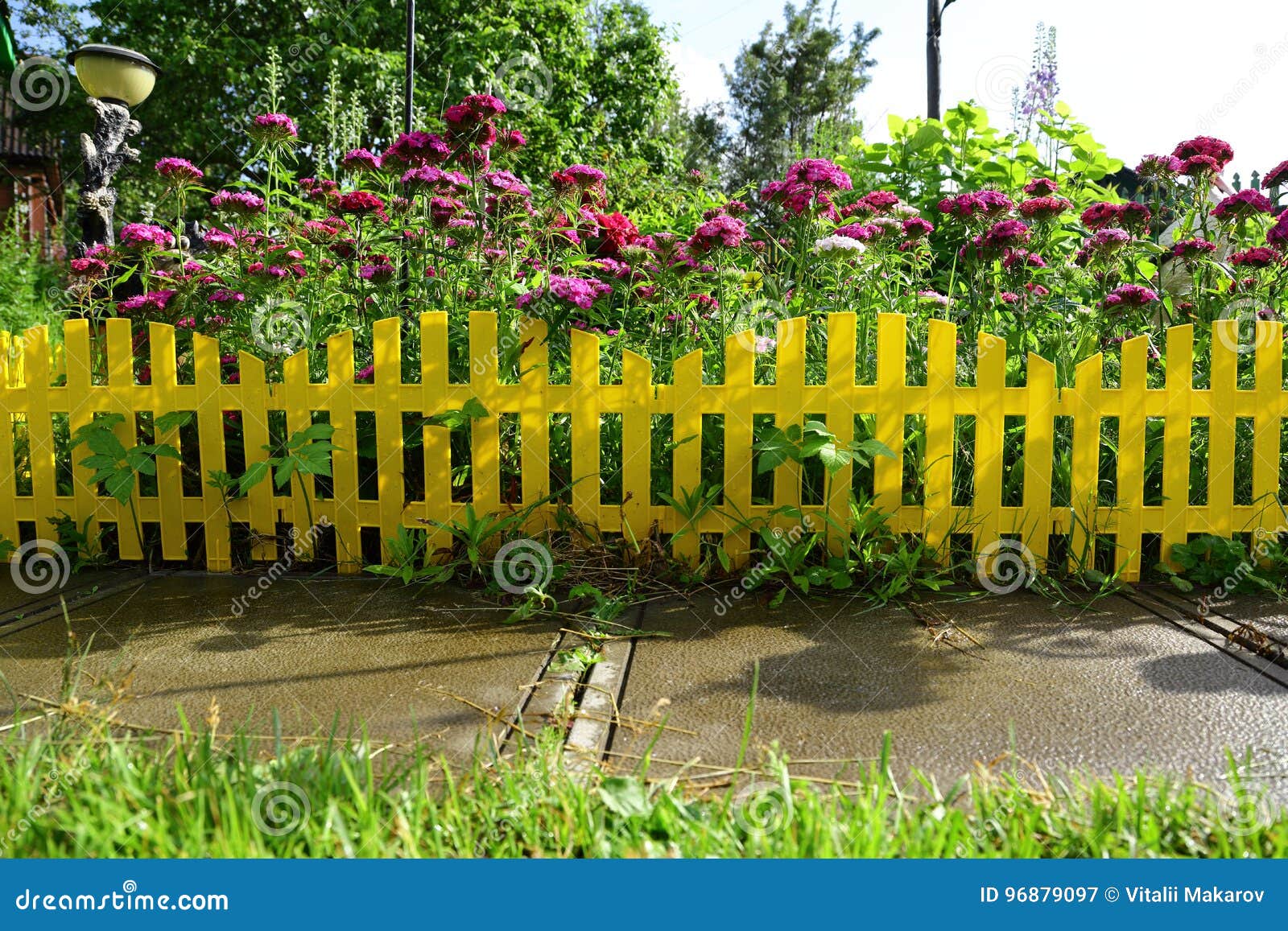 Yellow Picket Fence with Pretty Flowers in a Yard Stock Image - Image ...