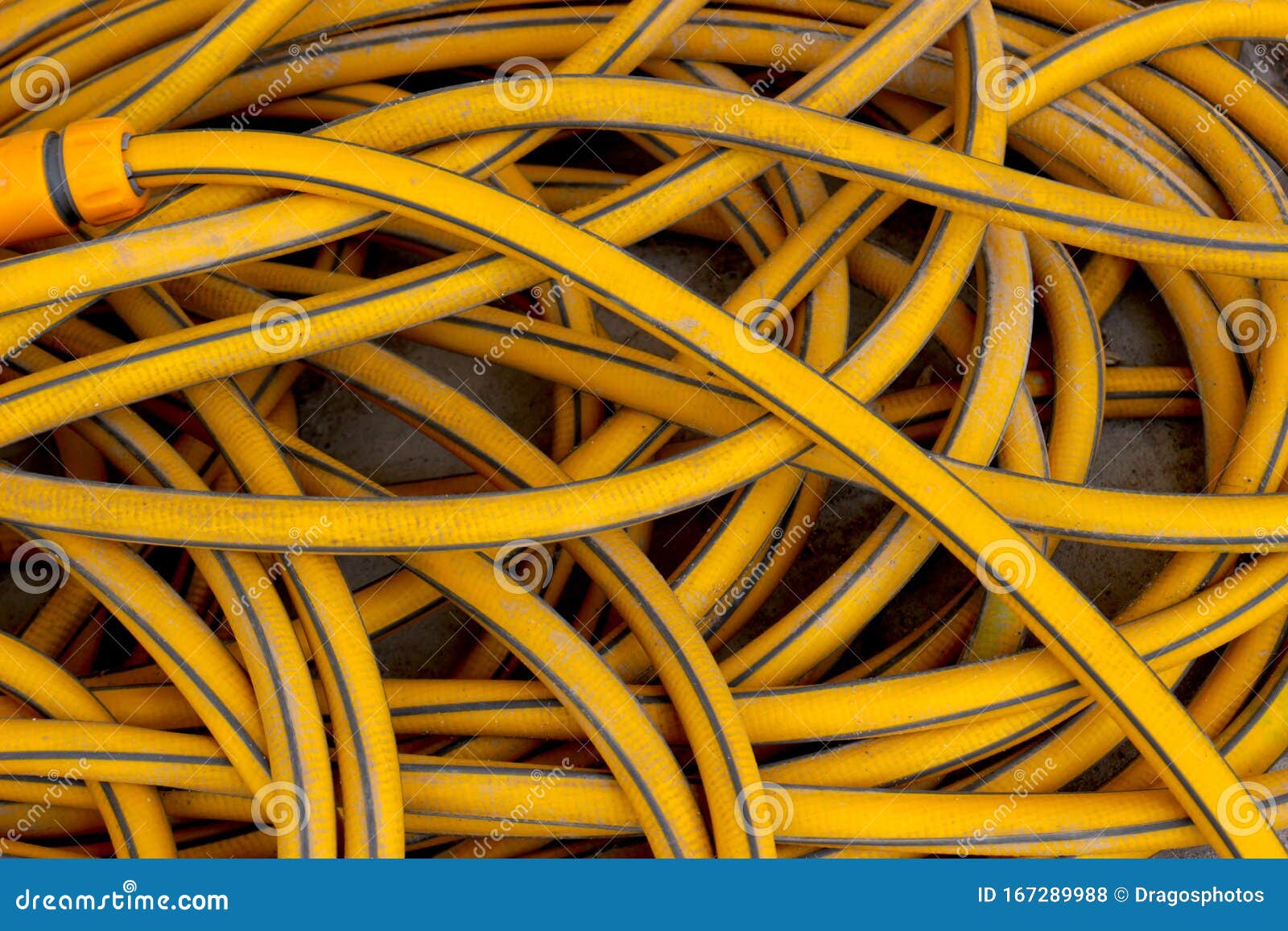 Yellow Pile Of A Tangled Long Hose Or Cable Wire Background Texture ...