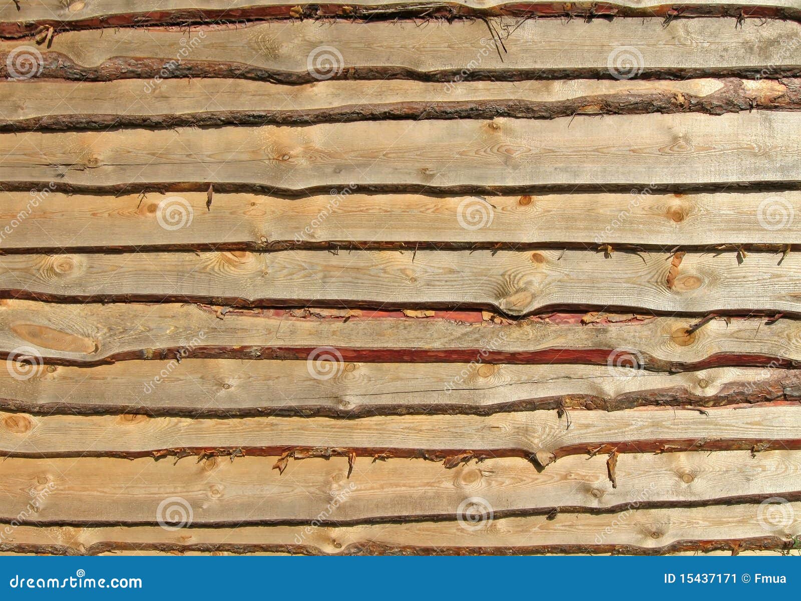 Yellow Pine Tree Wall, Textured Background, Stock Image - Image of ...