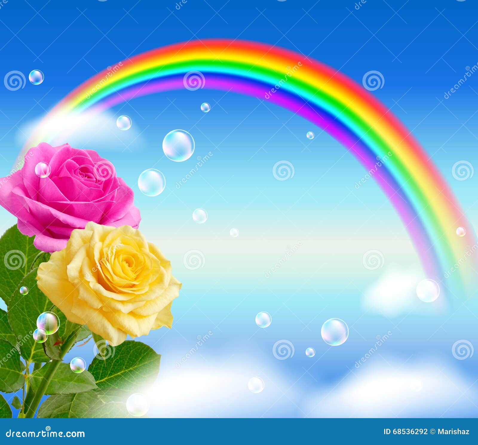 Yellow and Pink Roses and Rainbow Stock Photo - Image of nature ...