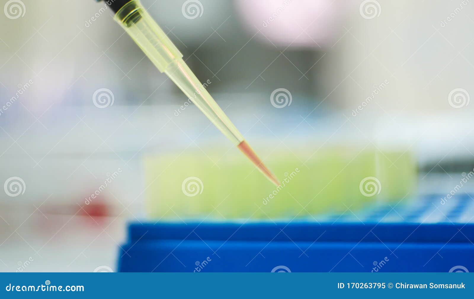 Yellow Pipette Tip in Blue Box Stock Image - Image of pipetting ...