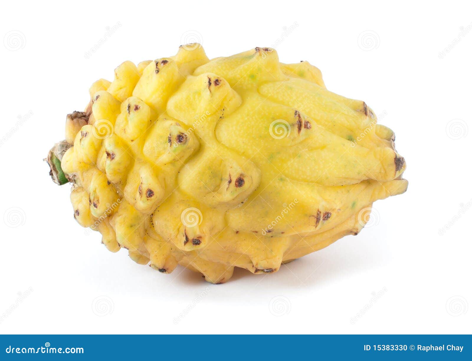 Yellow Pitaya (Hylocereus Megalanthus) Stock Photo - Image of rica ...