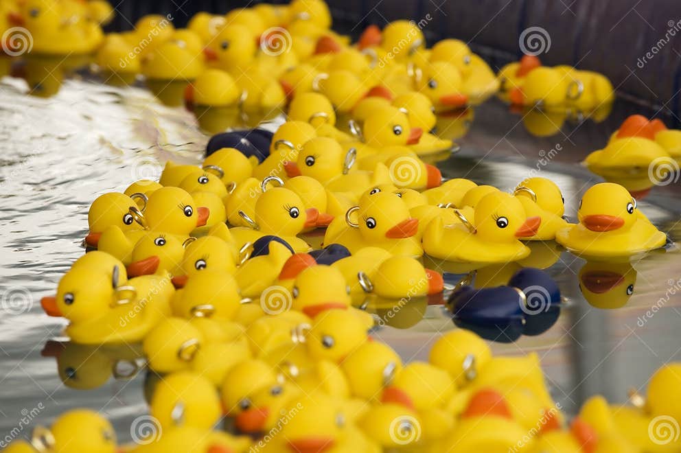 Yellow plastic ducks stock image. Image of yellow, rubber - 21110757