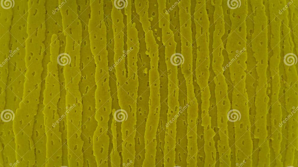 Yellow Plastic Texture Surface Stock Photo - Image of white, gray ...