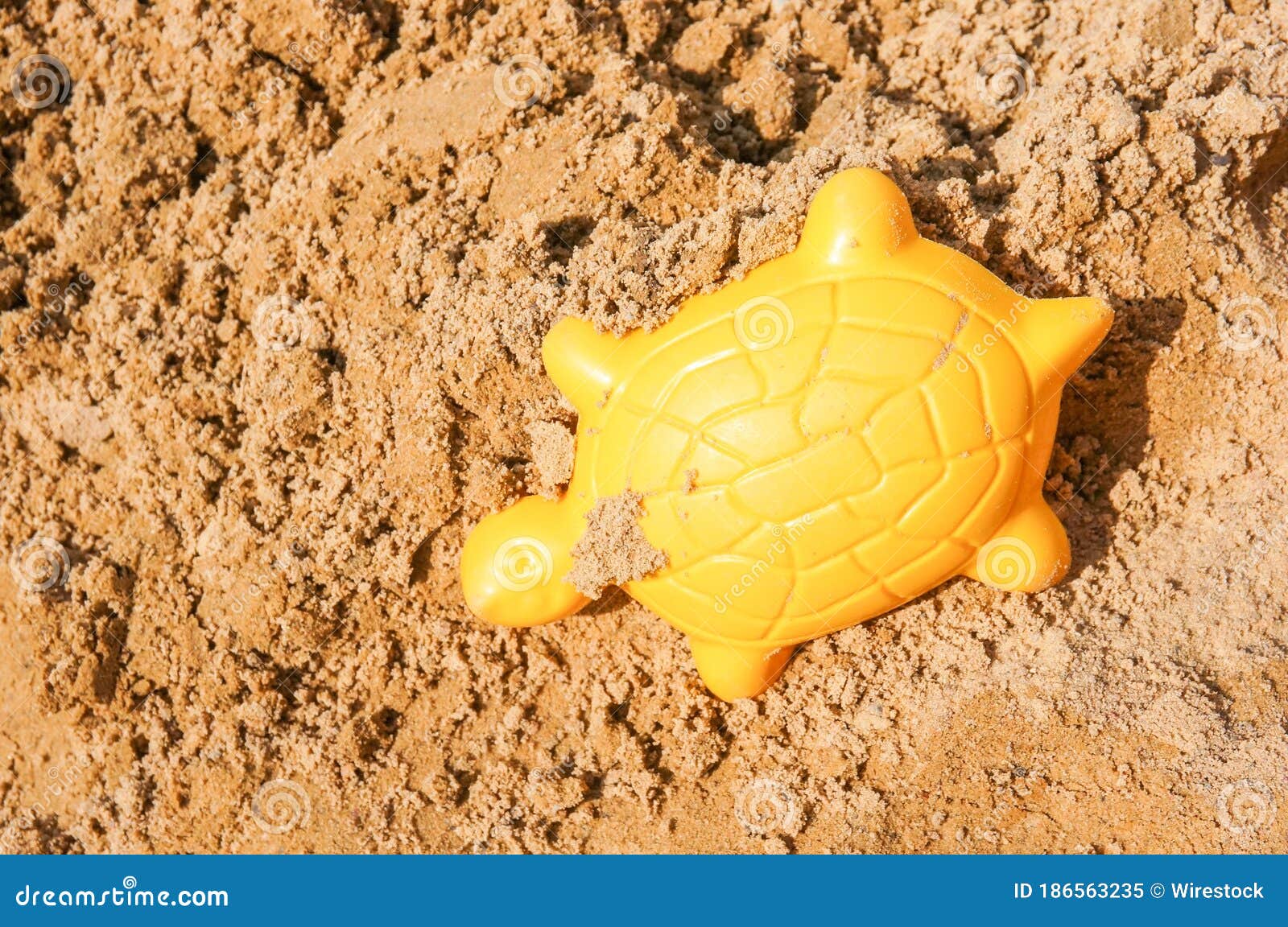 Yellow Plastic Toy Sand Form in Turtle Shape on the Sand on a Sunny Day ...