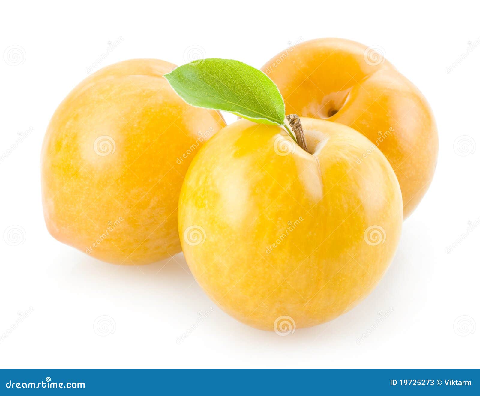 Yellow plums stock image. Image of plum, isolated, food - 19725273