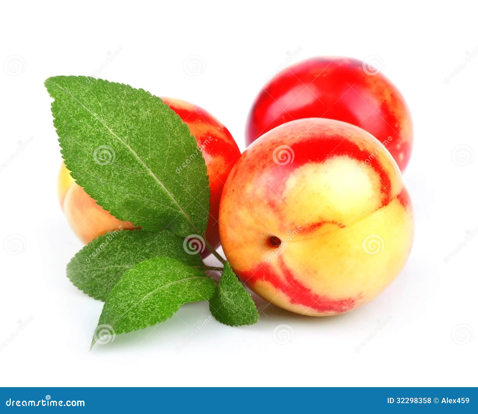Yellow plums stock photo. Image of food, ripe, sweet - 32298358