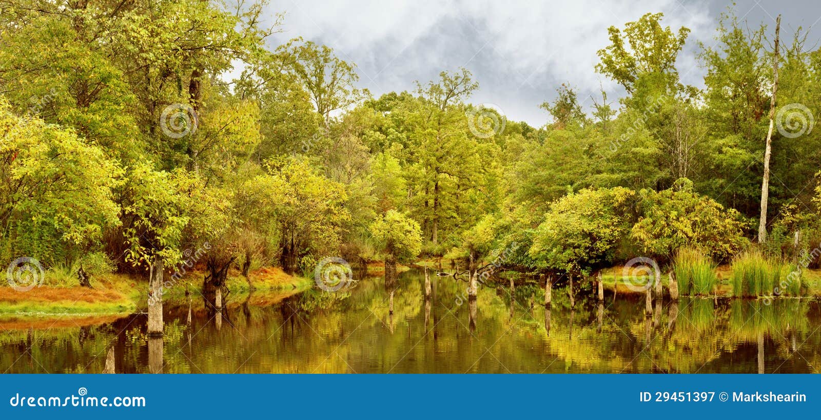 Yellow Pond stock image. Image of back, calm, nature - 29451397