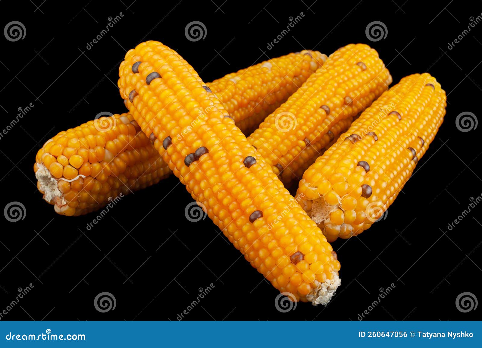 Yellow popcorn dry seeds stock photo. Image of popcorn - 260647056