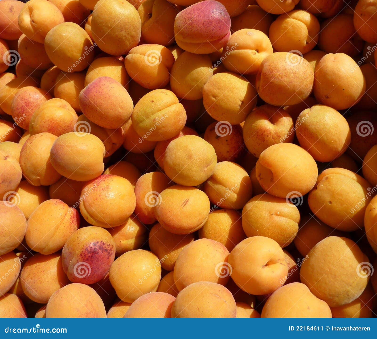 Yellow prunes stock image. Image of health, healthy, many - 22184611