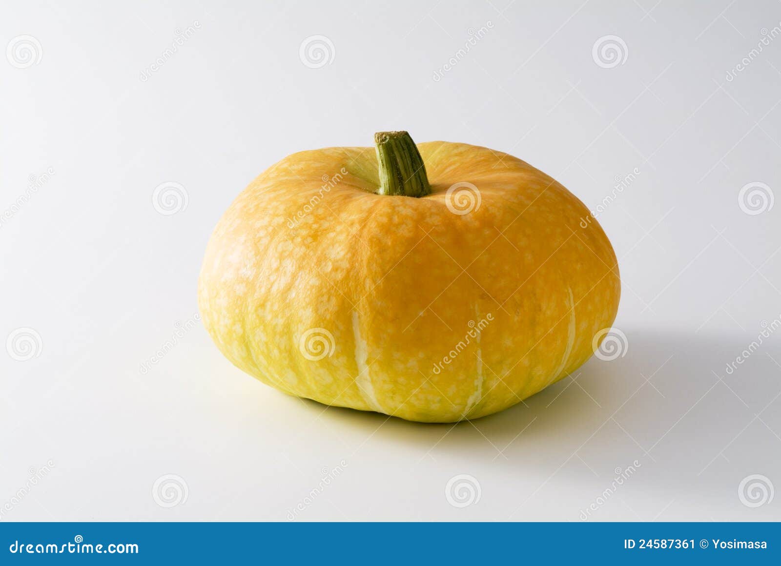 Yellow pumpkin stock image. Image of halloween, organic - 24587361