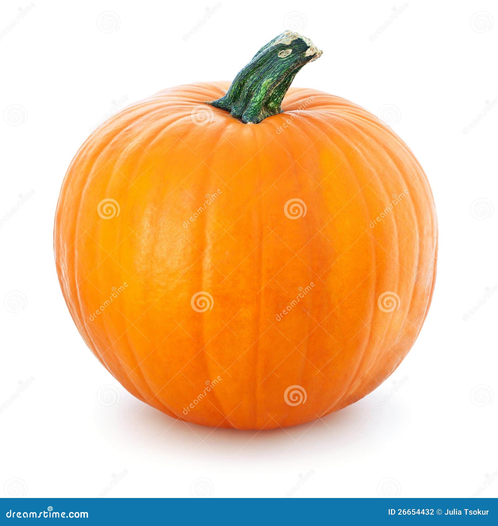 Yellow pumpkin stock photo. Image of bright, color, ripe - 26654432