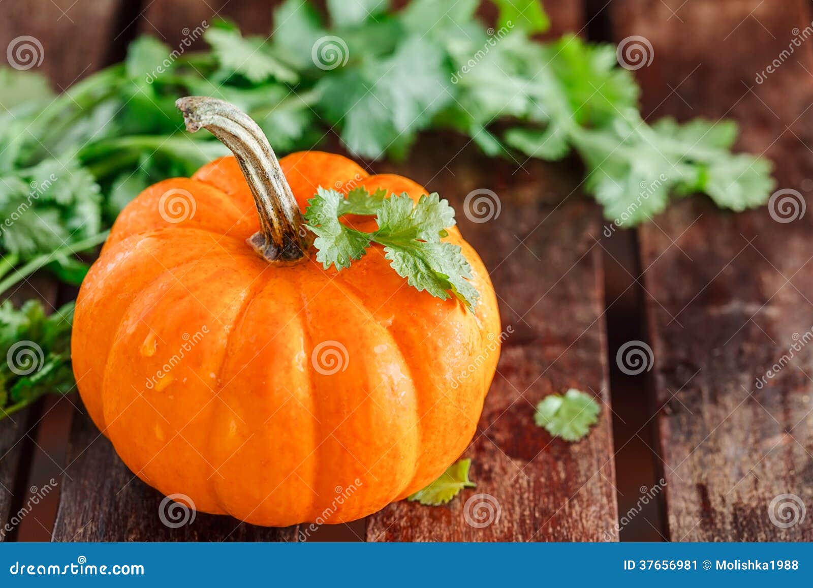 Yellow Pumpkin Vegetable with Green Leaves Stock Image - Image of ...