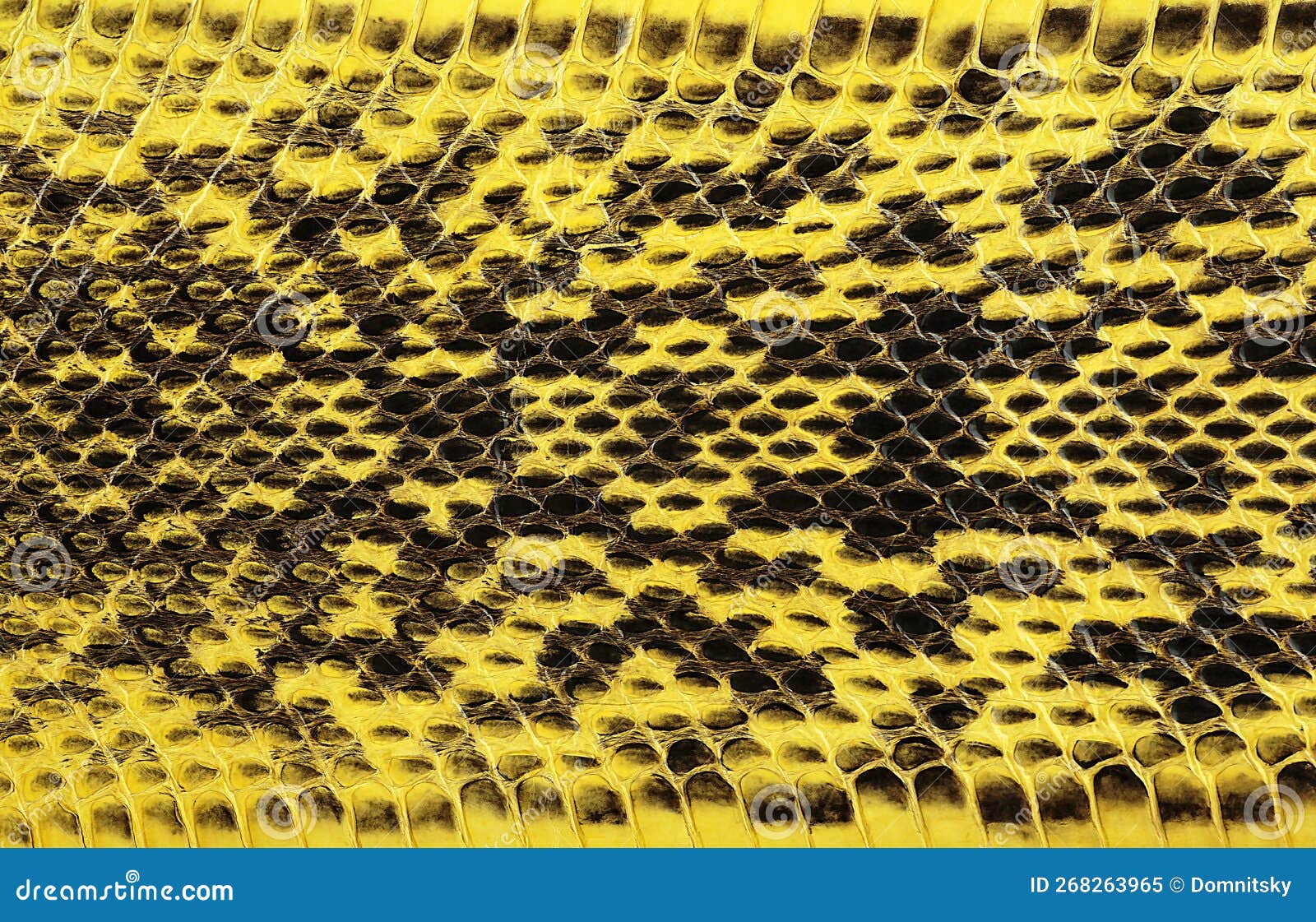 Yellow Python Leather, Skin Texture for Background. Stock Image - Image ...
