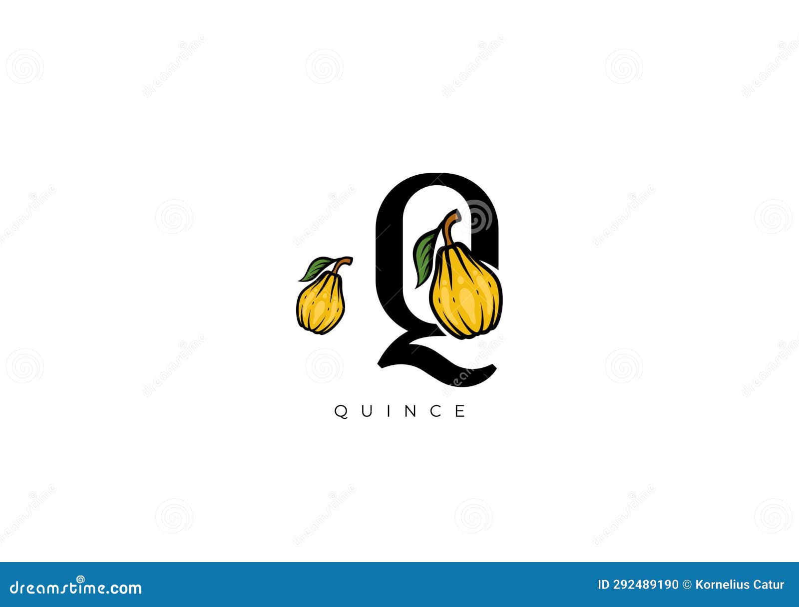 Yellow QUINCE FRUIT Vector, Great Combination of Quince Fruit Symbol ...