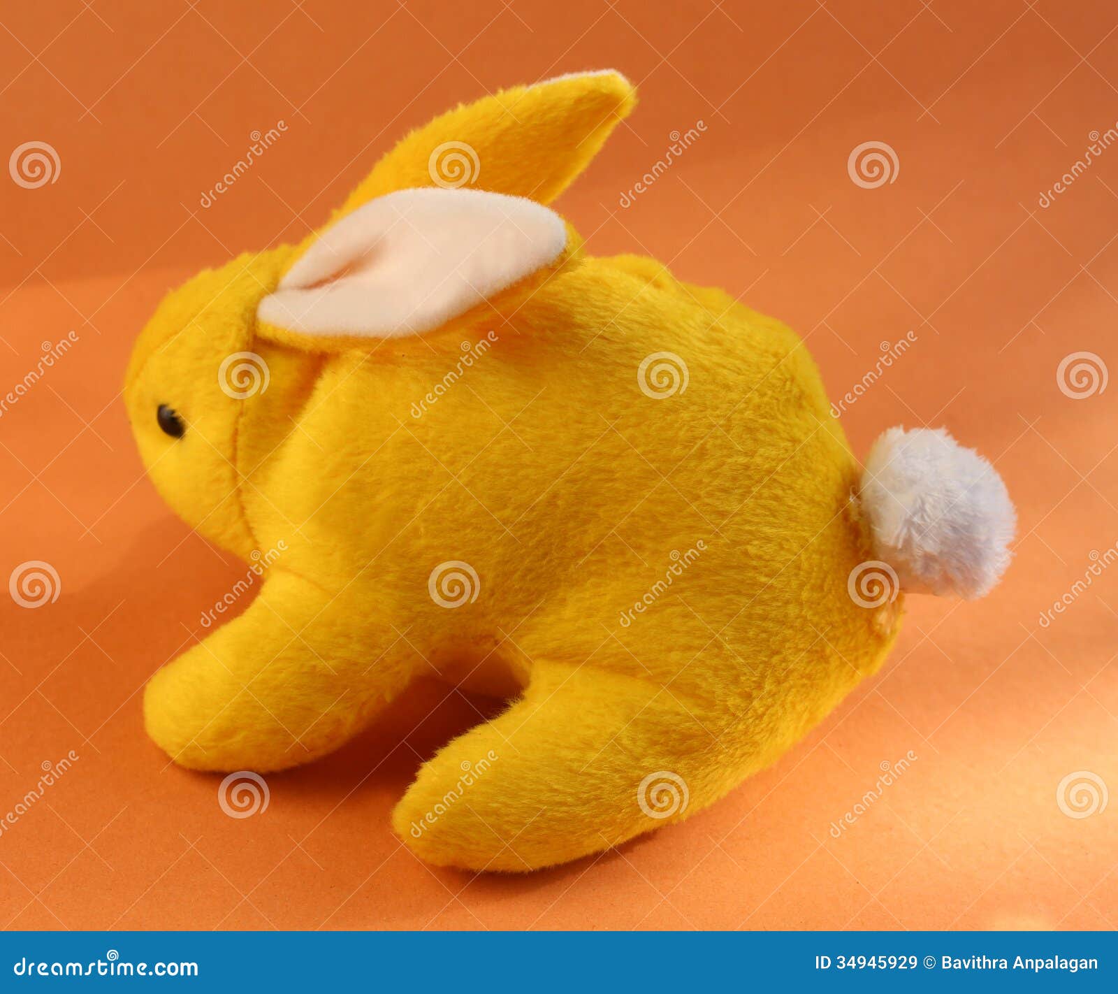 Rabbit stock image. Image of cuddly, friend, infant, alone - 34945929