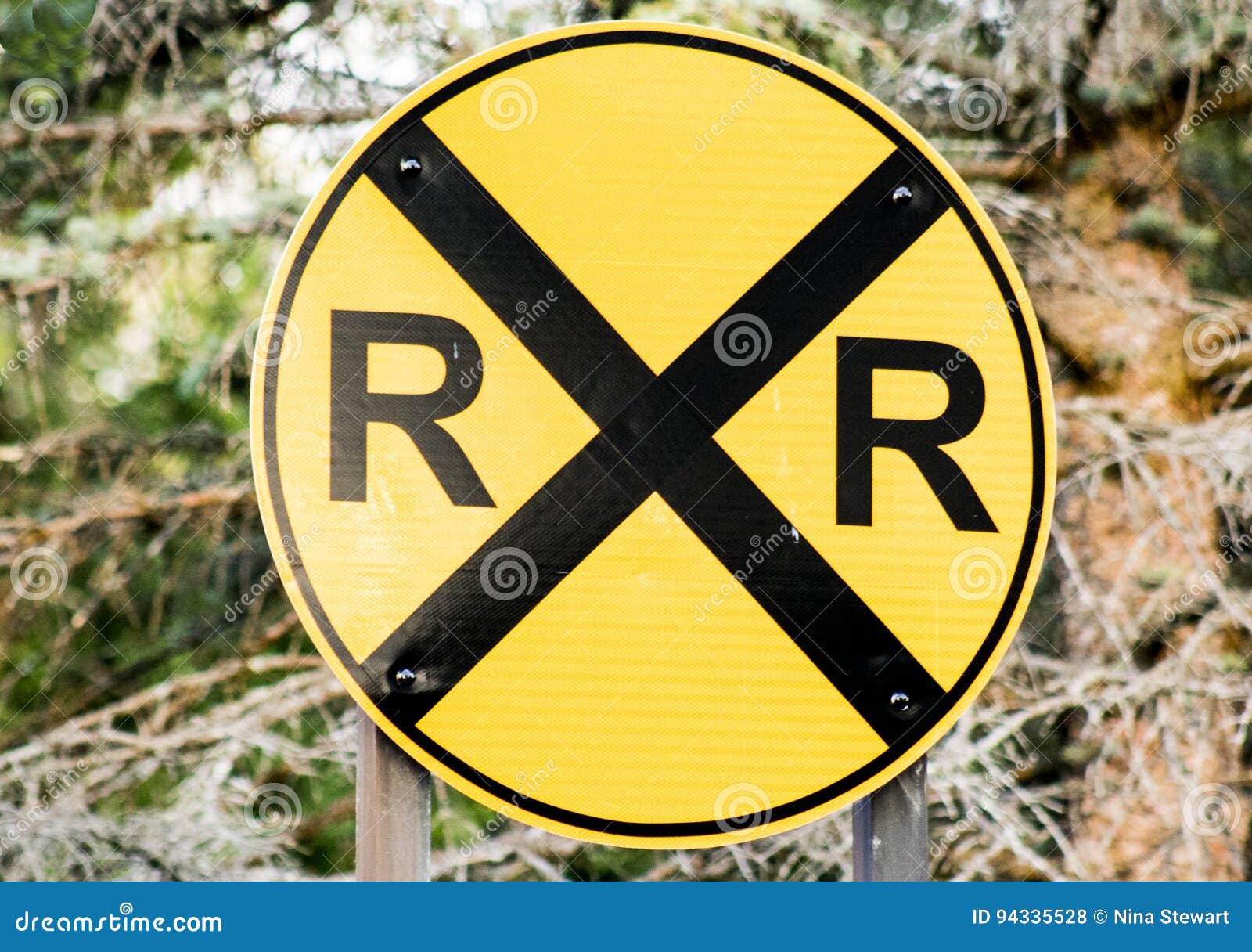 Yellow Railroad Crossing Sign Stock Photo - Image of detail, treesnn ...
