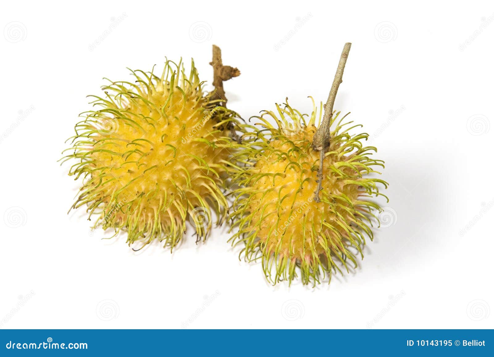 Yellow Rambutan Tropical Fruits Stock Image - Image of unique, exotic ...