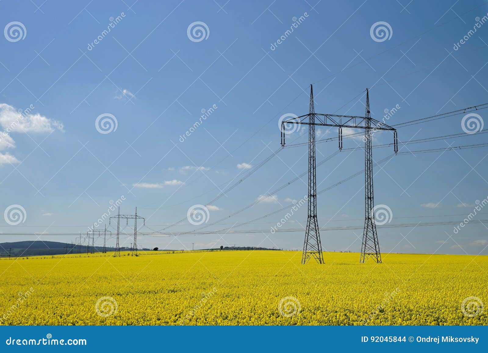 Yellow Field and High-voltage Power Lines Stock Photo - Image of ...
