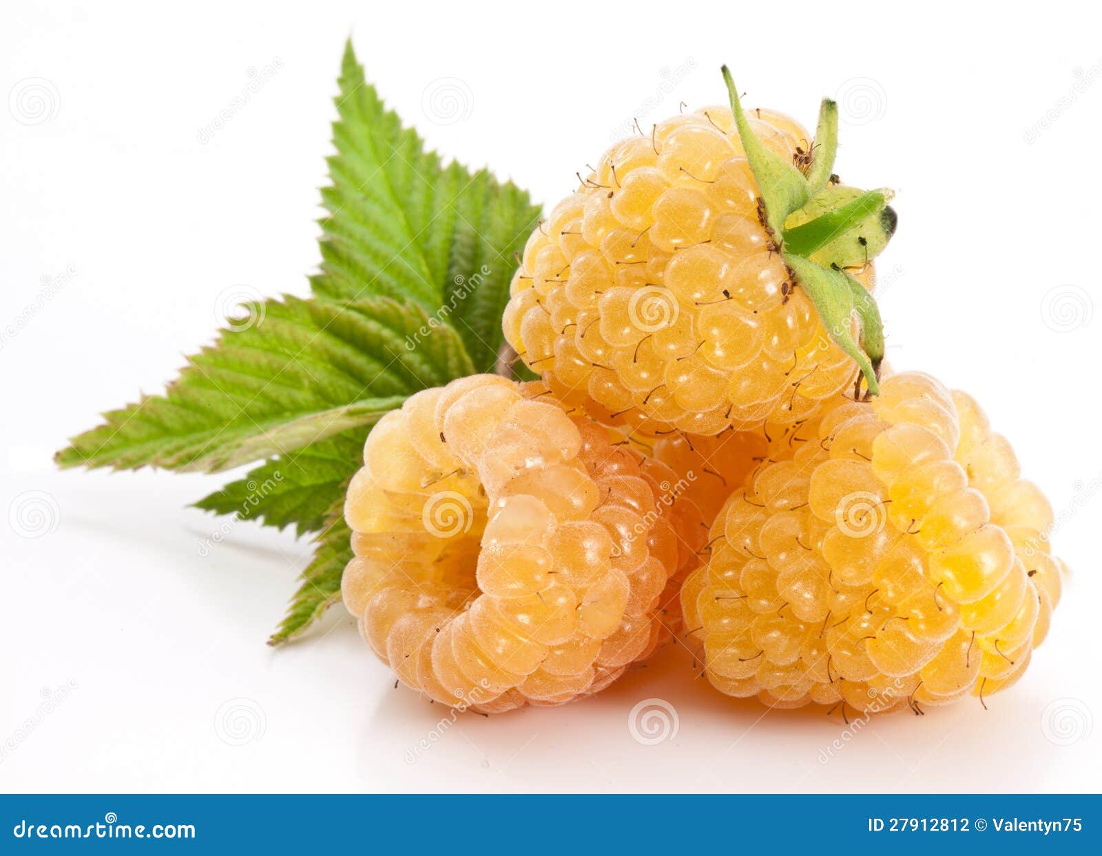 Yellow raspberries stock photo. Image of ripe, fruit - 27912812