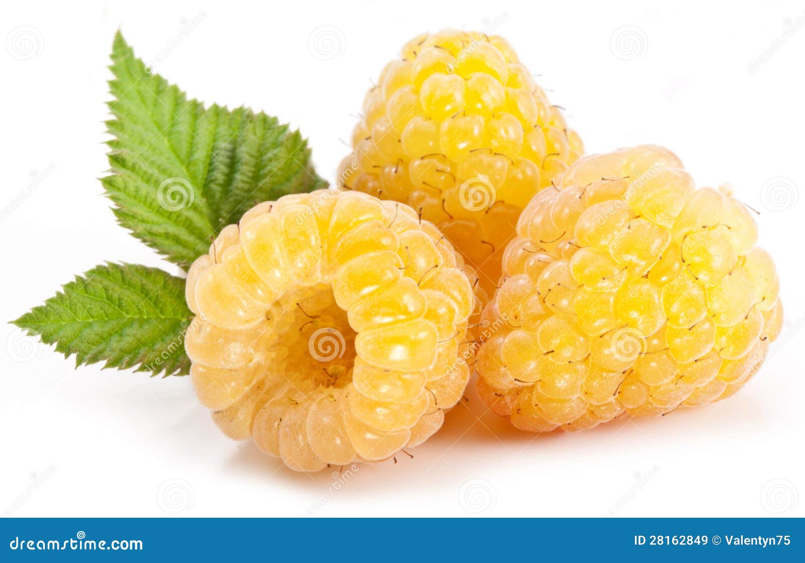 Yellow raspberries. stock image. Image of still, healthy - 28162849