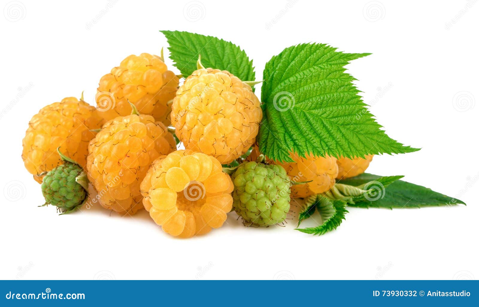 Yellow raspberries stock photo. Image of organic, raspberry - 73930332