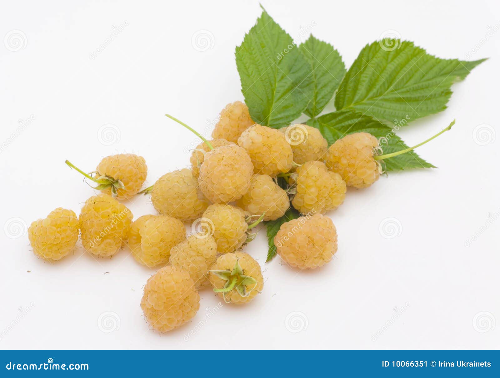 Yellow raspberry stock image. Image of blueberry, blue - 10066351
